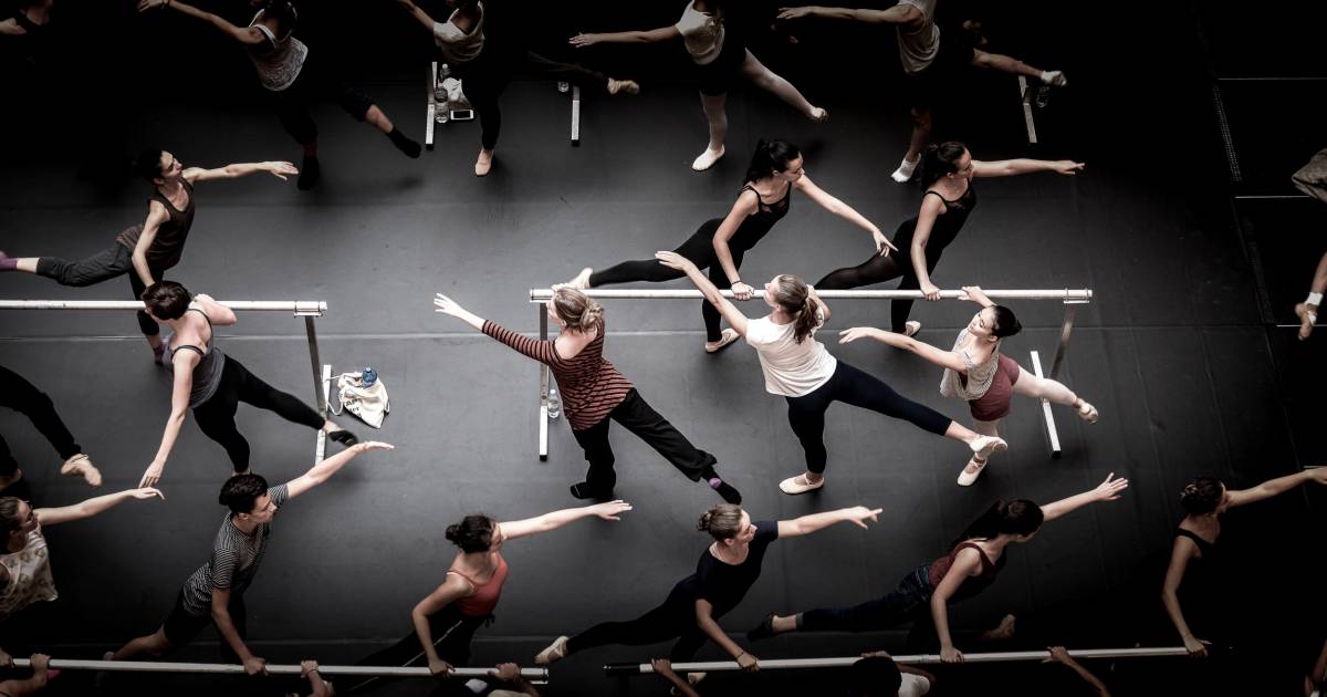 Programmation – Autour des spectacles